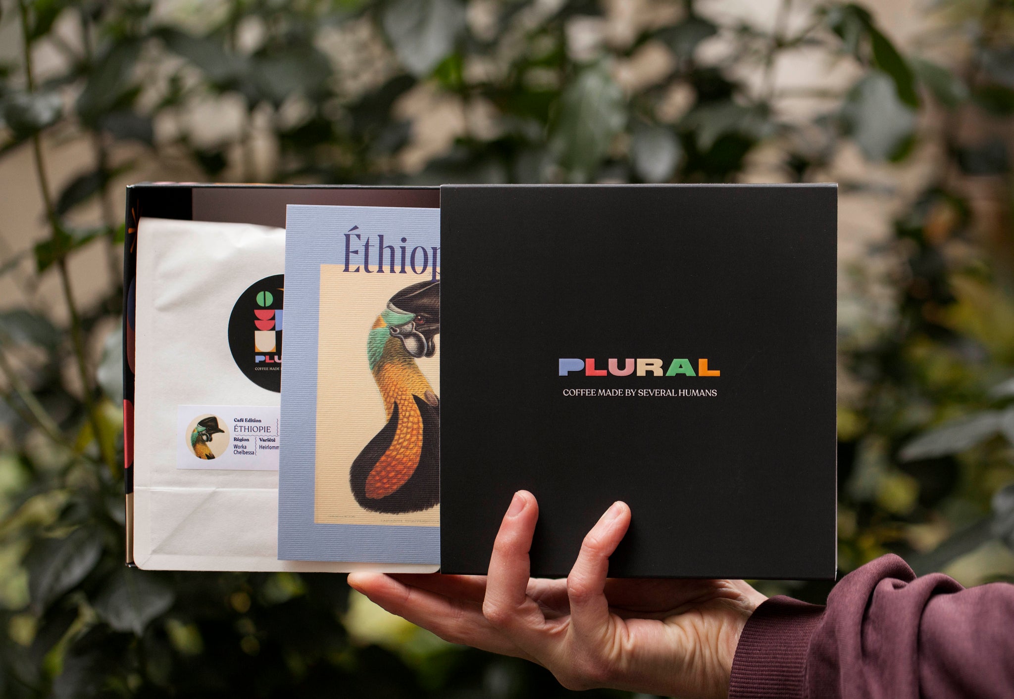 Café de spécialité – plural